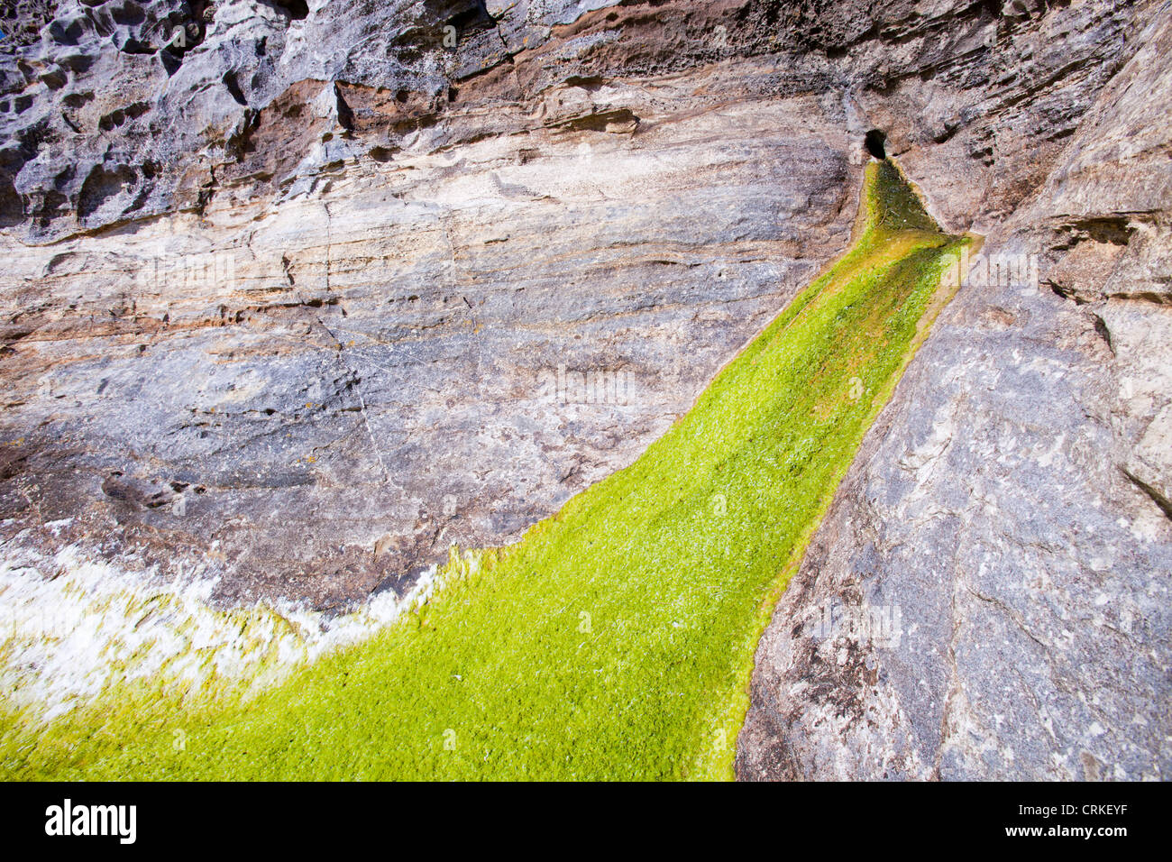 Rock formations on shore line hi-res stock photography and images - Alamy