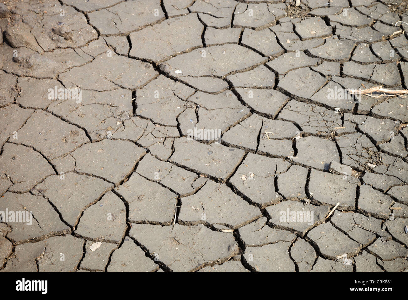 Dry cracked ground - the effect of drought Stock Photo - Alamy