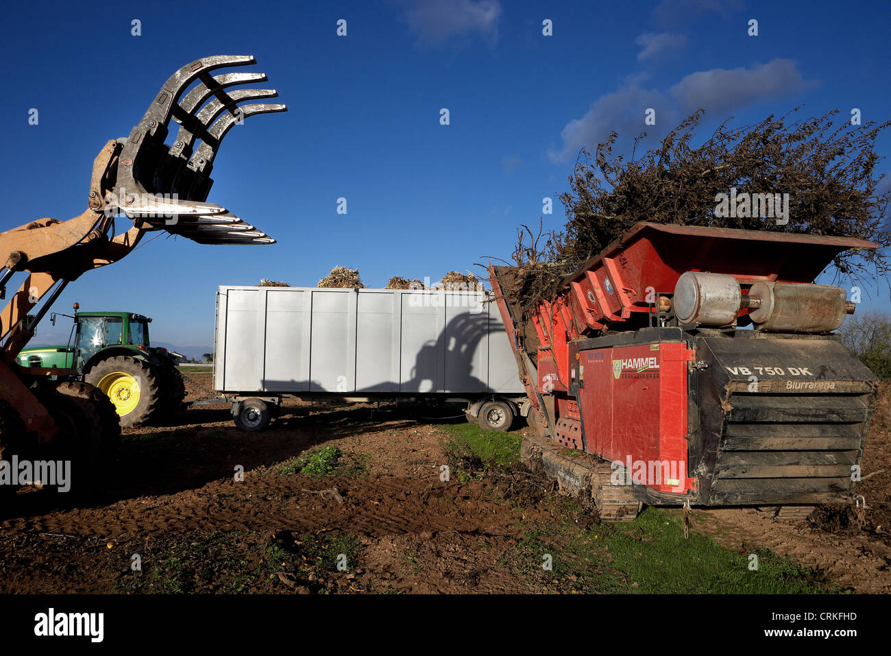 Machine of biomass grinding wood from trees Stock Photo - Alamy