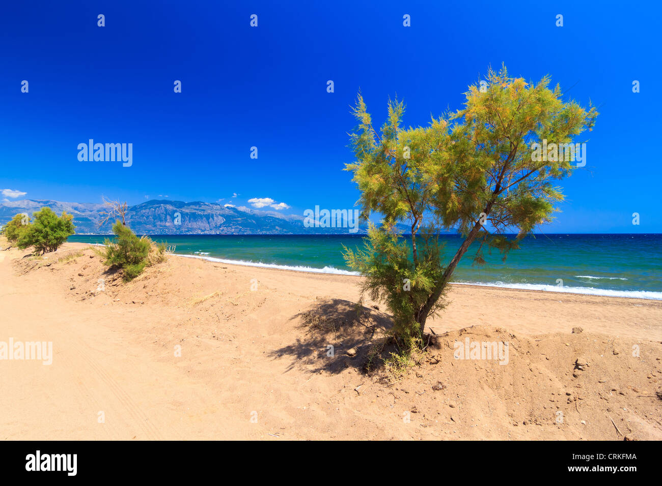 Summer day at the beach hi-res stock photography and images - Alamy