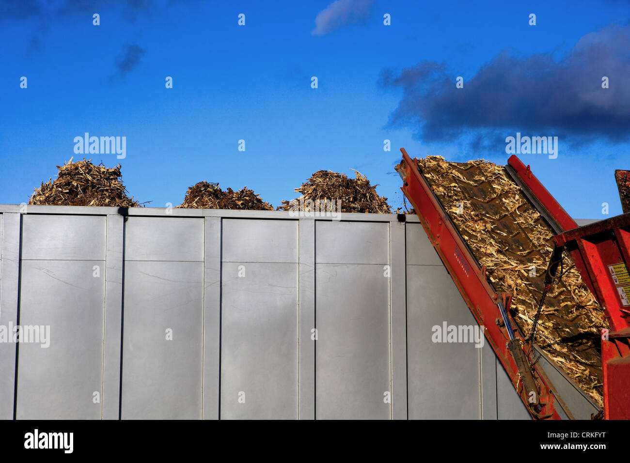 Machine of biomass grinding wood from trees Stock Photo - Alamy