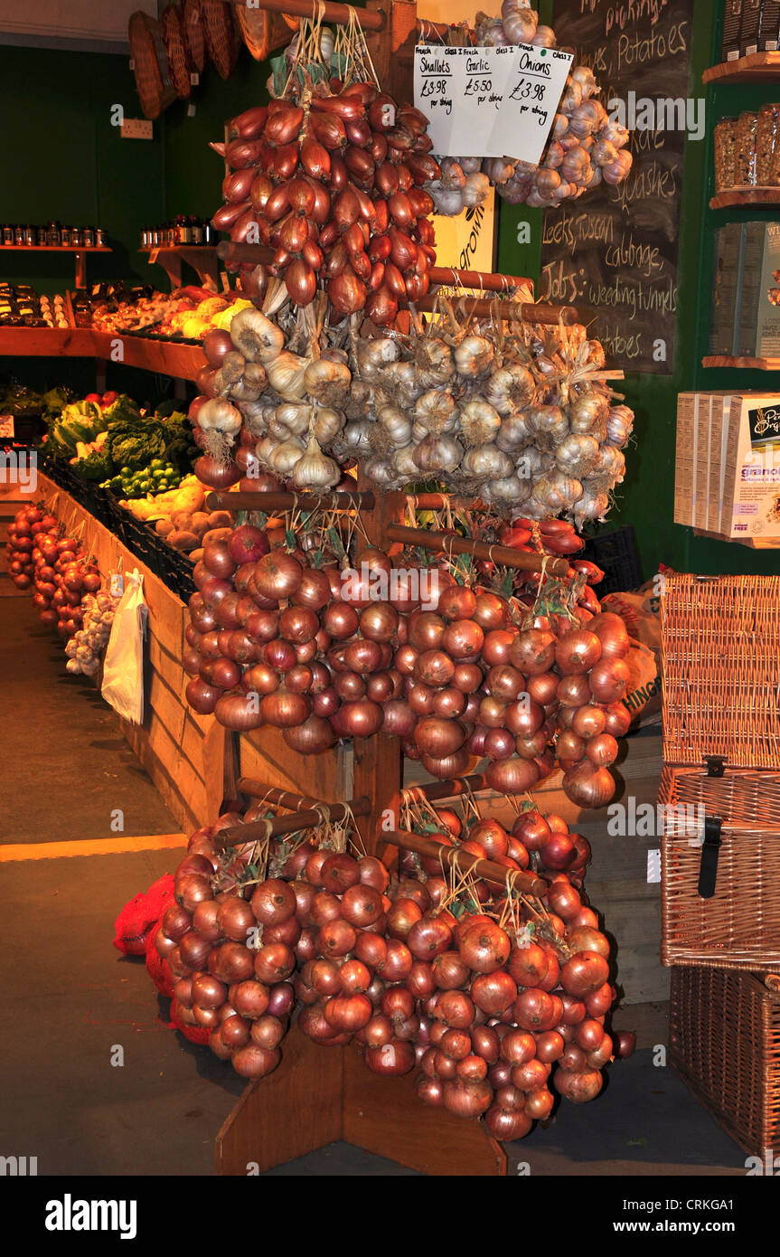 Strings of garlic and onions hanging on a shop display UK Stock Photo ...