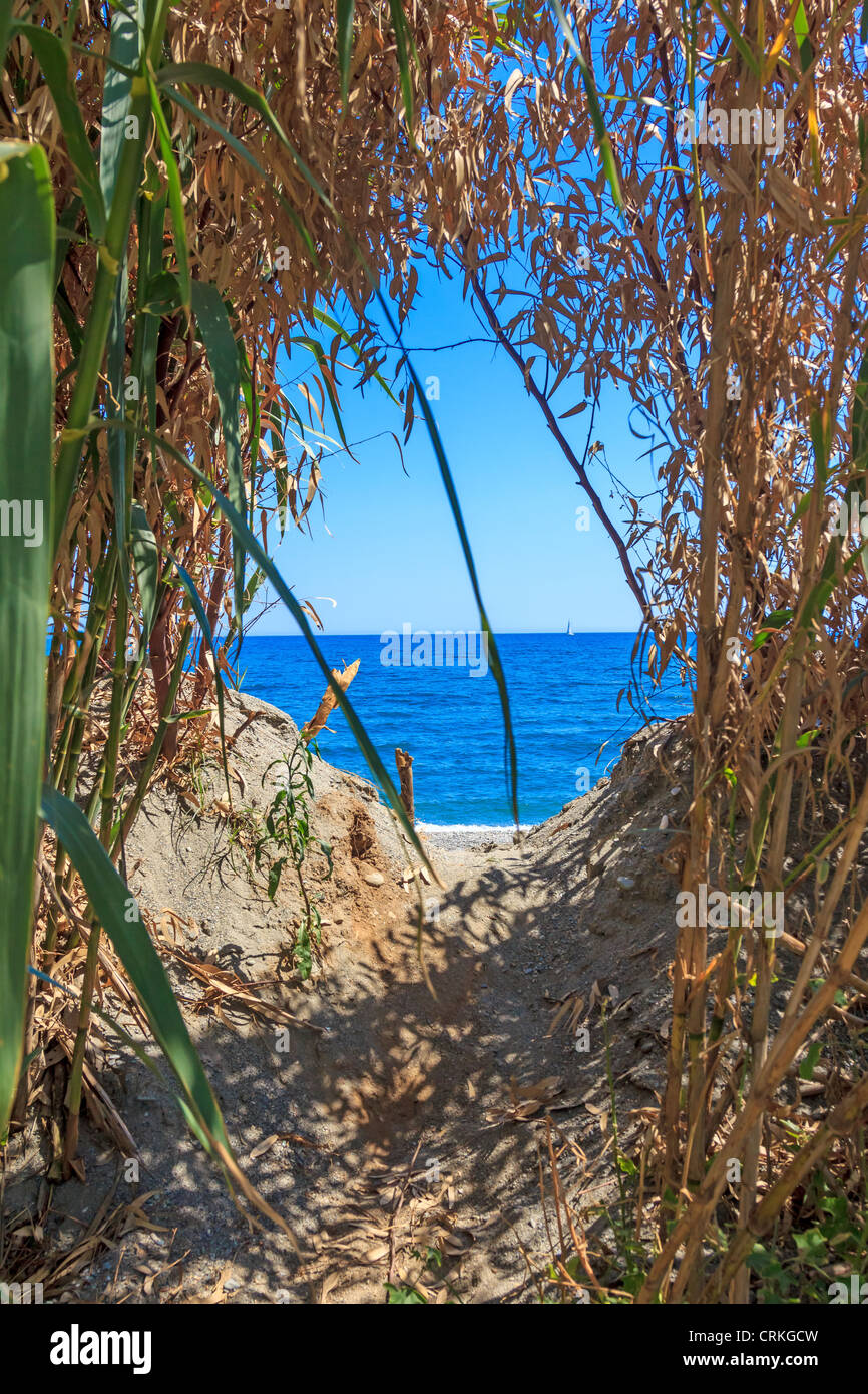 Hidden path leading to secret beach Stock Photo - Alamy