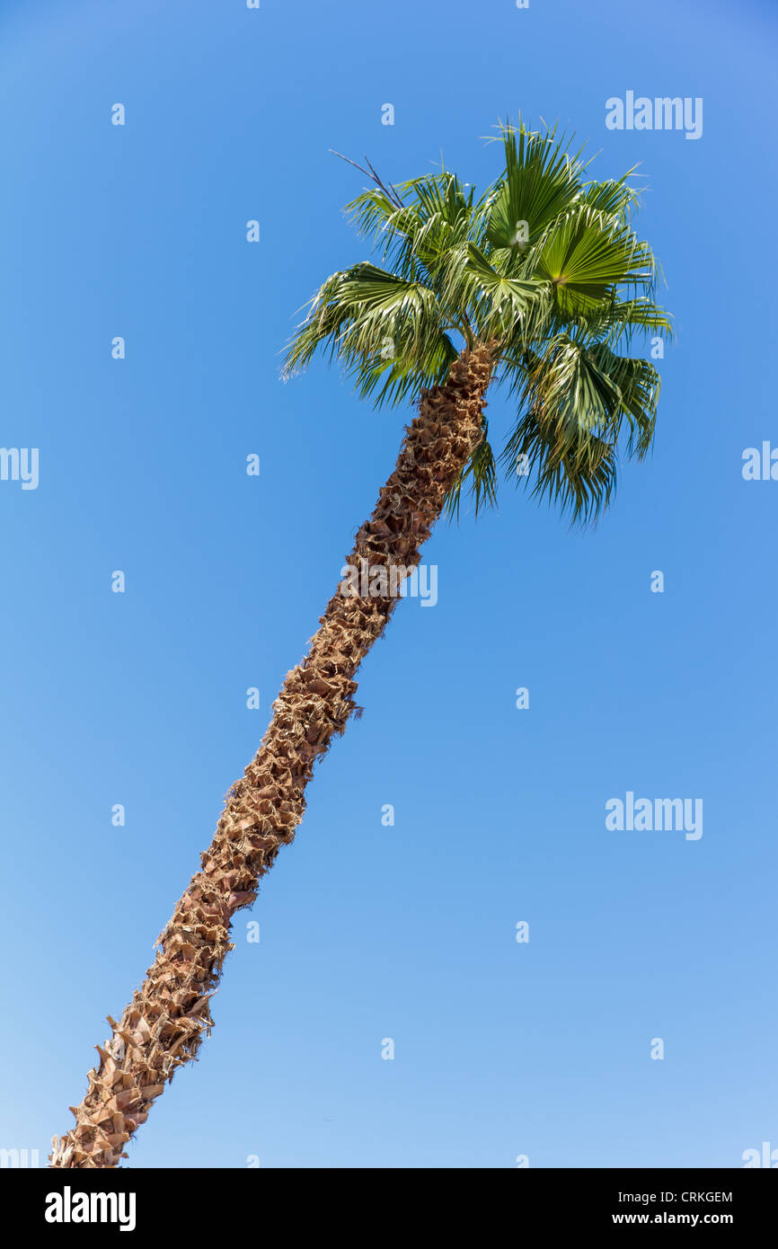 Tropical tree line hi-res stock photography and images - Alamy