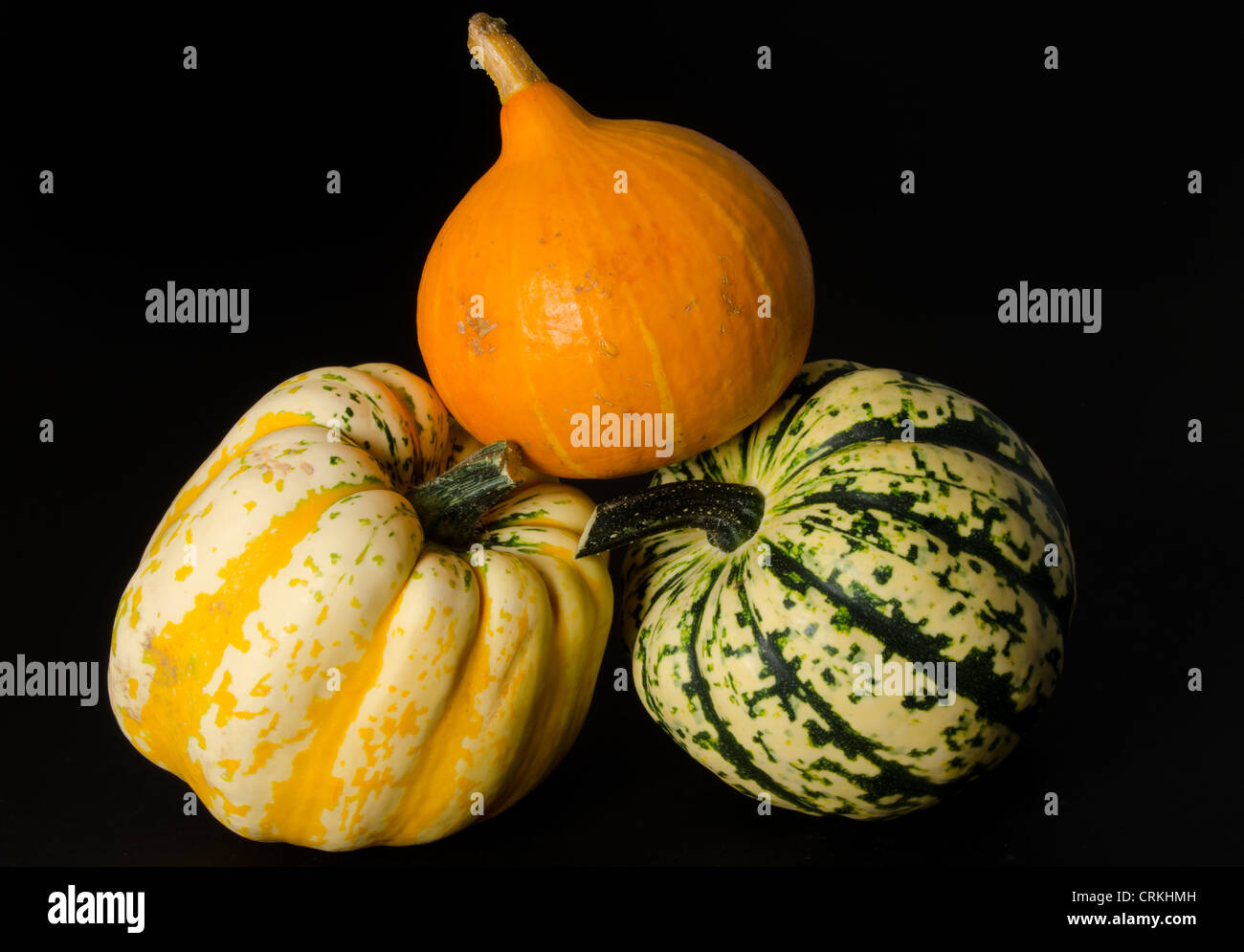 Three colourful winter gourds - studio shot with a black background ...