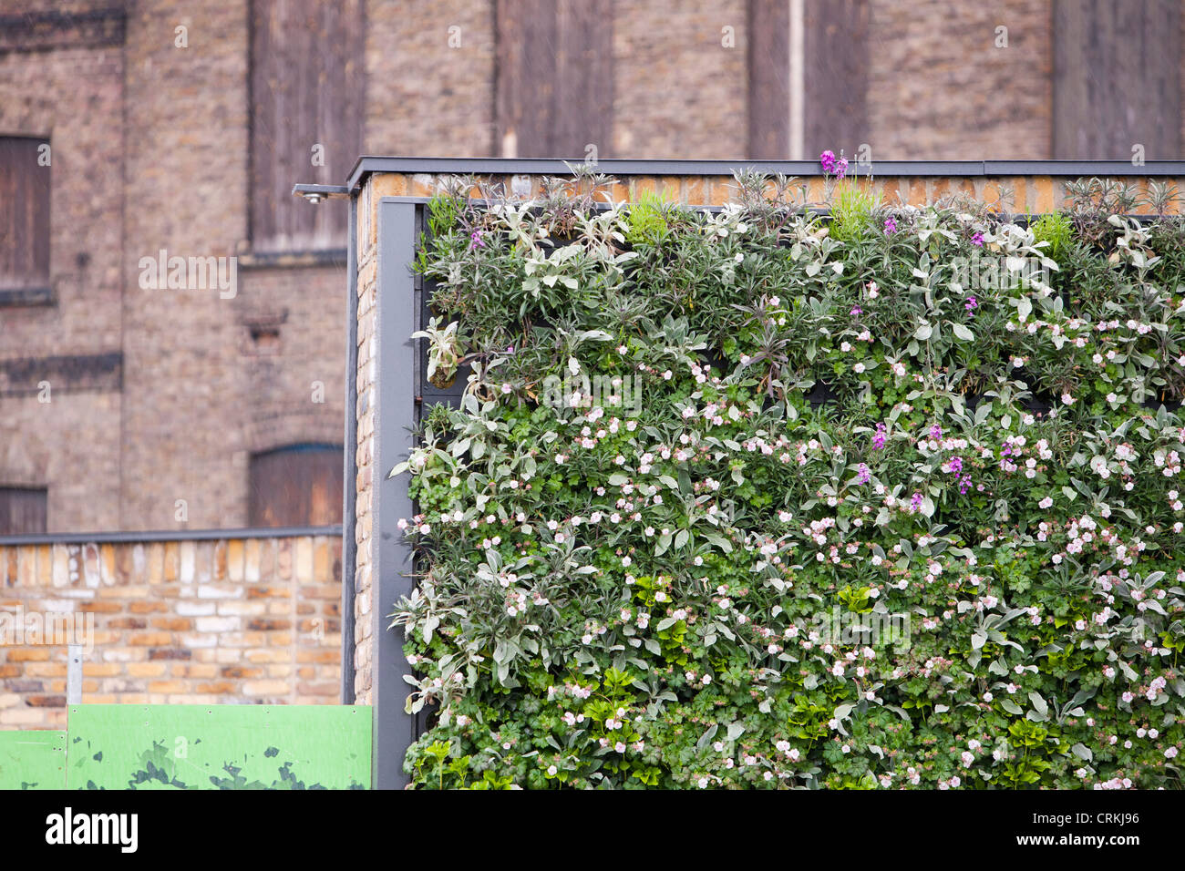 A green wall at Kings Cross, London, UK Stock Photo - Alamy