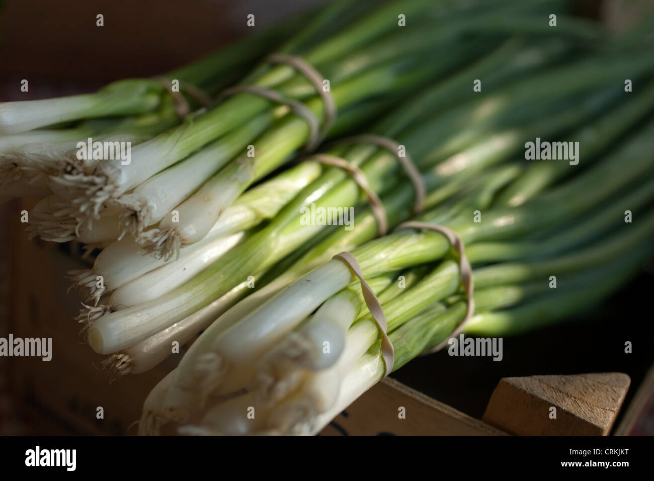 Long green vegetables hi-res stock photography and images - Alamy