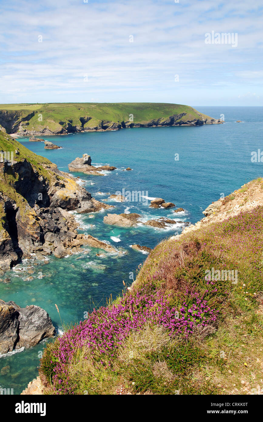 North cliffs cornwall hi-res stock photography and images - Alamy