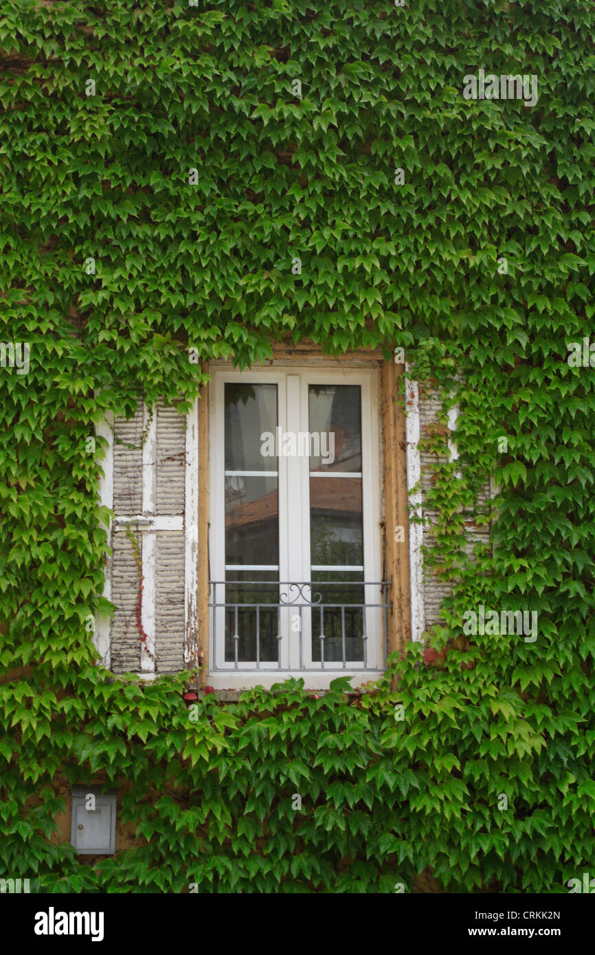 Single leaf shutter hi-res stock photography and images - Alamy