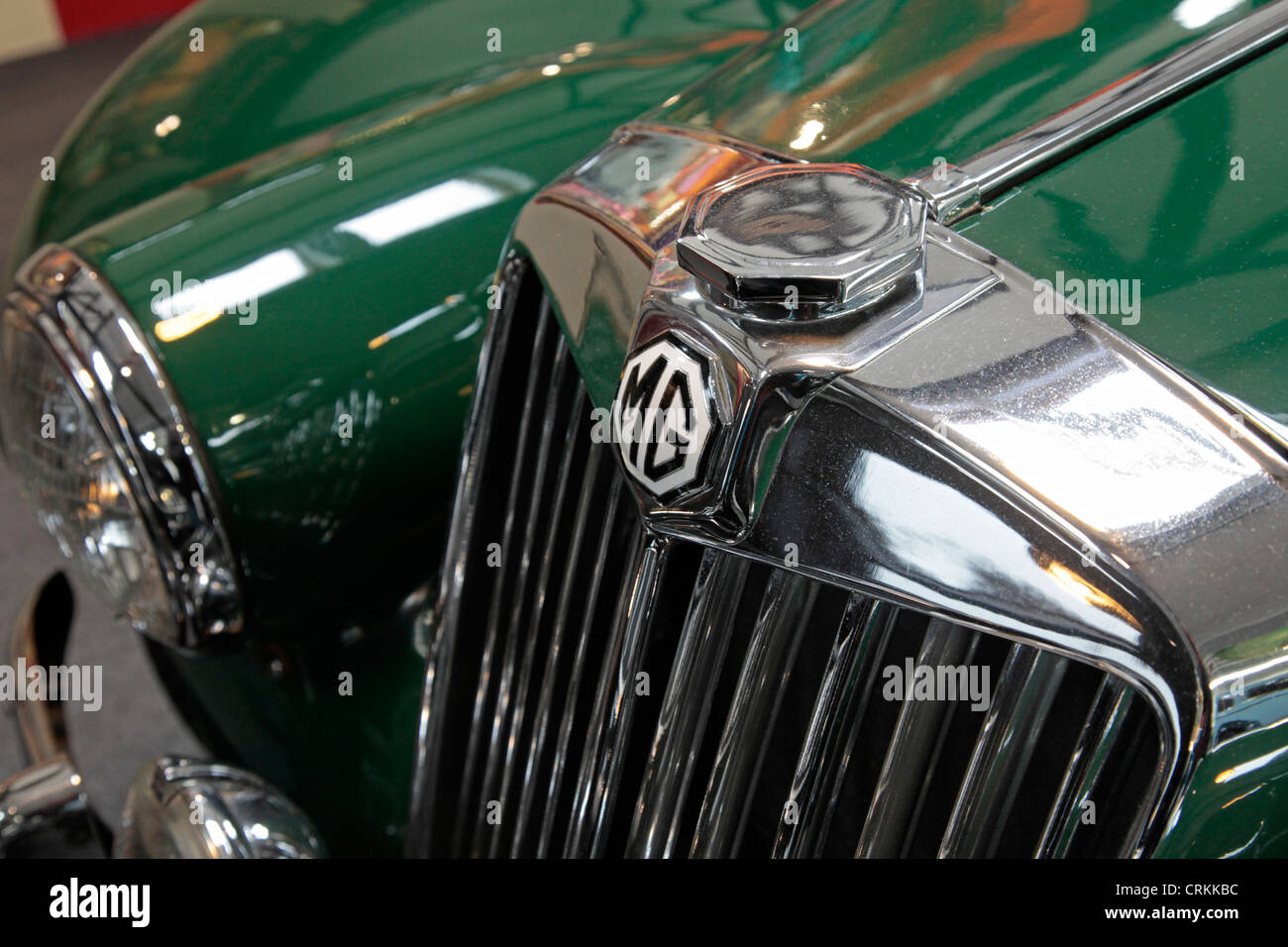 MG TF radiator and headlight. Car on display at the Lakeland Motor ...
