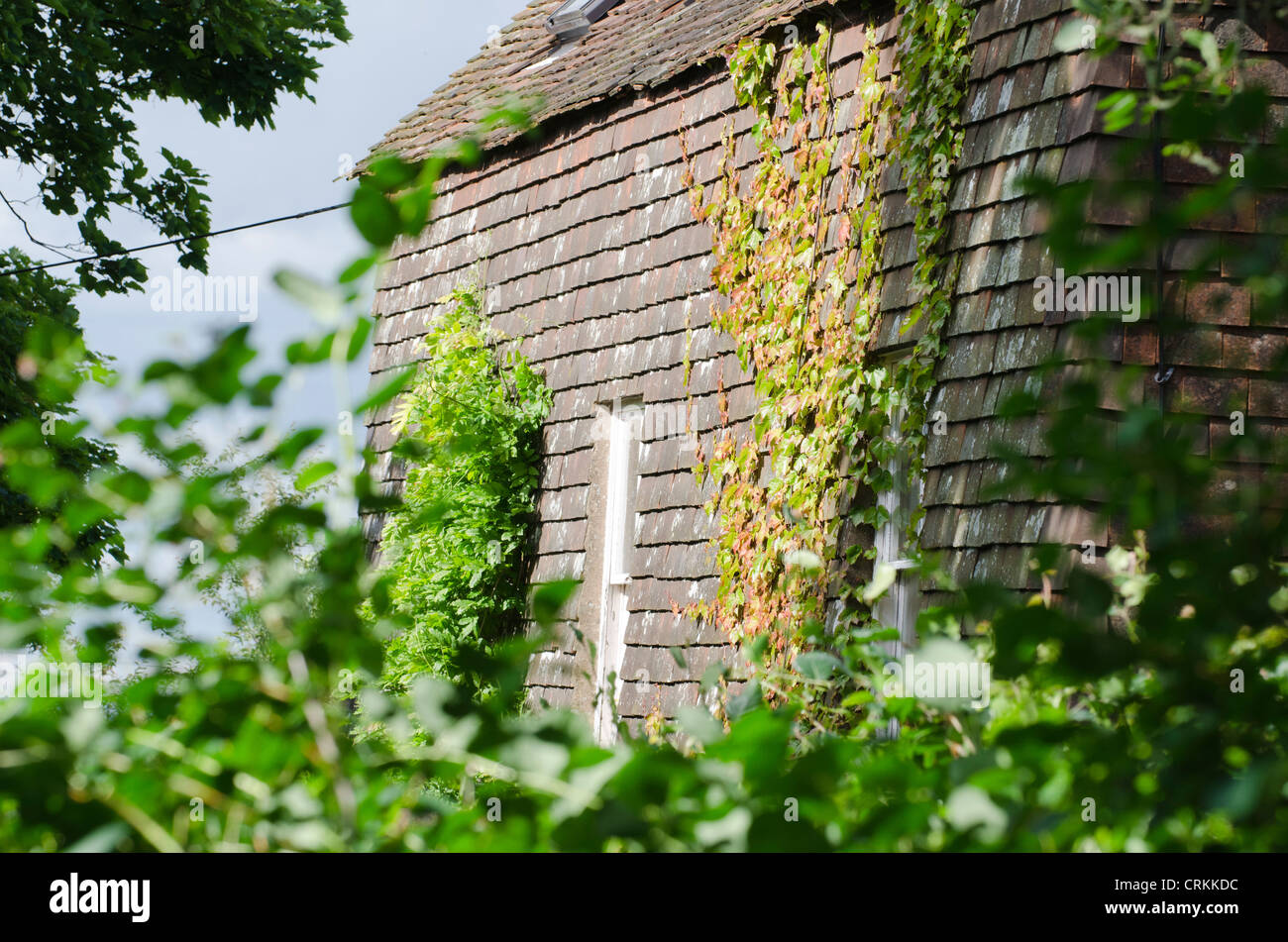 Ivy clad Tile hung side of residential building Sussex traditional ...