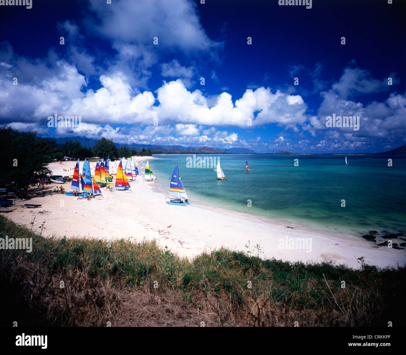Hobie Catamaran, Kailua Beach, Oahu, Hawaii Stock Photo - Alamy
