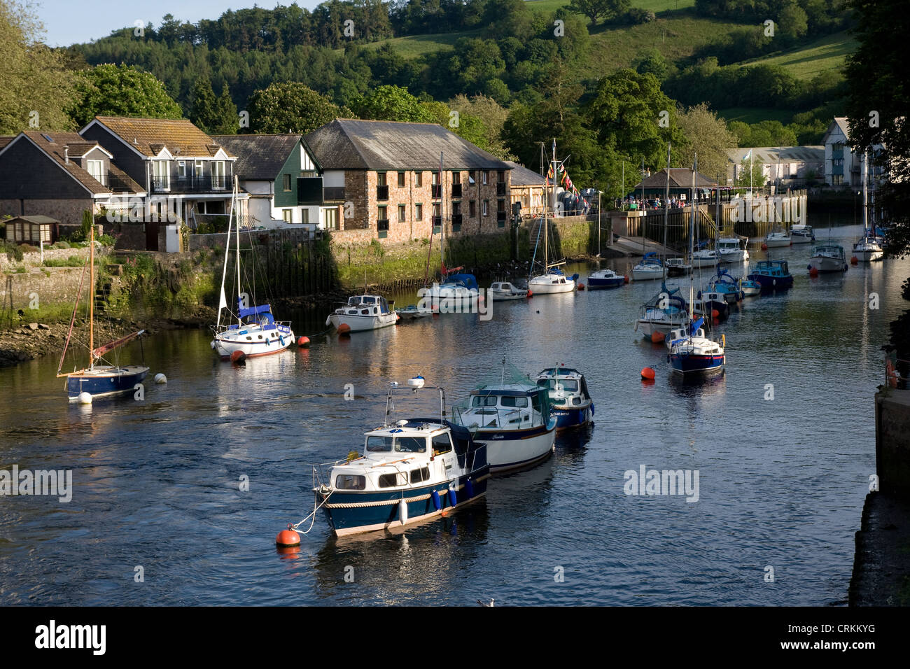 leisure boats River Dart Totnes Devon Stock Photo - Alamy