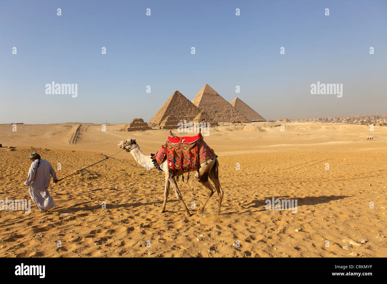 Camel riding at Pyramid complex at Giza, Egypt Stock Photo - Alamy