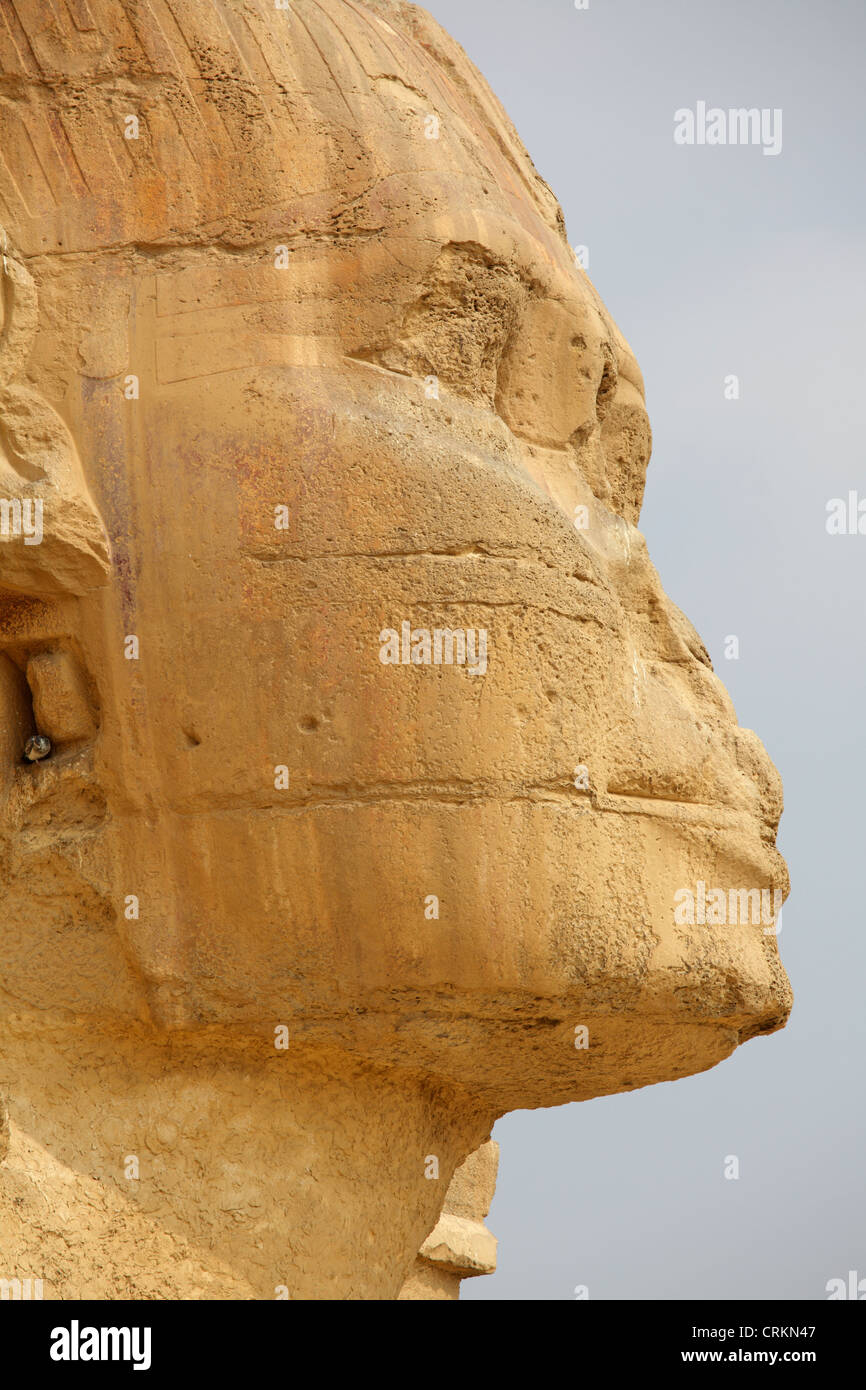 Egypt statue sphinx hi-res stock photography and images - Alamy
