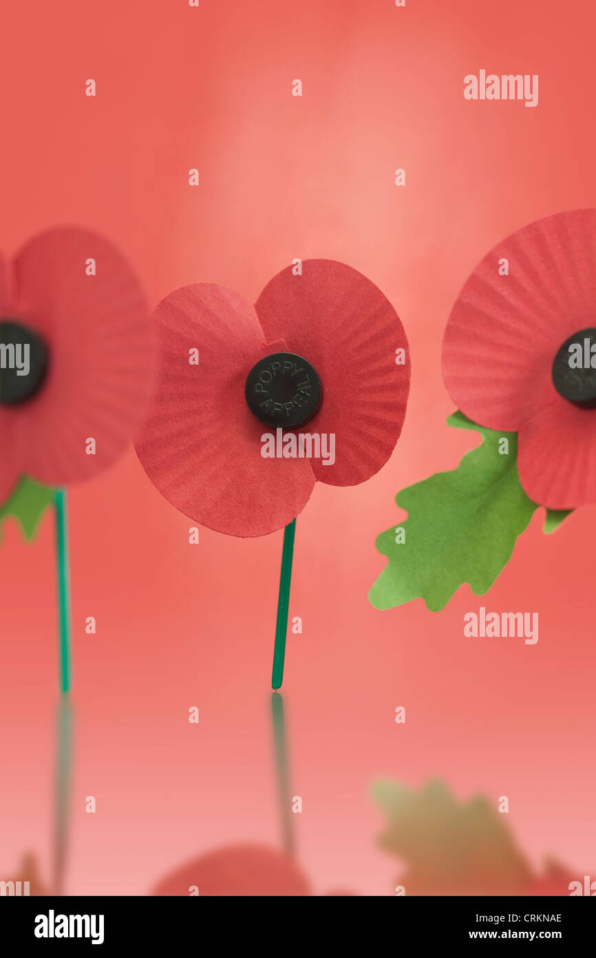 Veteran's Memorial Poppies Stock Photo - Alamy