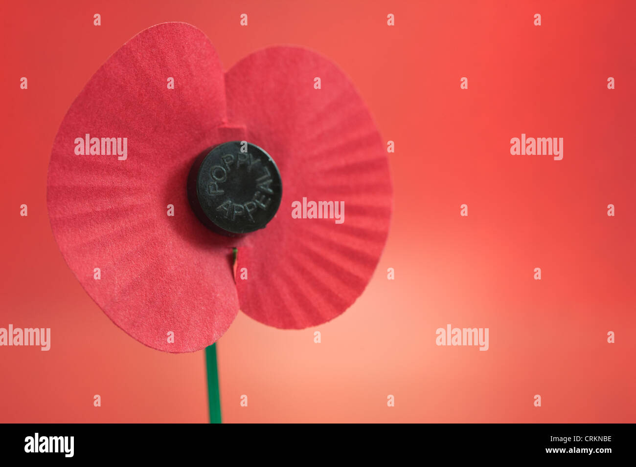 Veteran's Memorial Poppies Stock Photo - Alamy