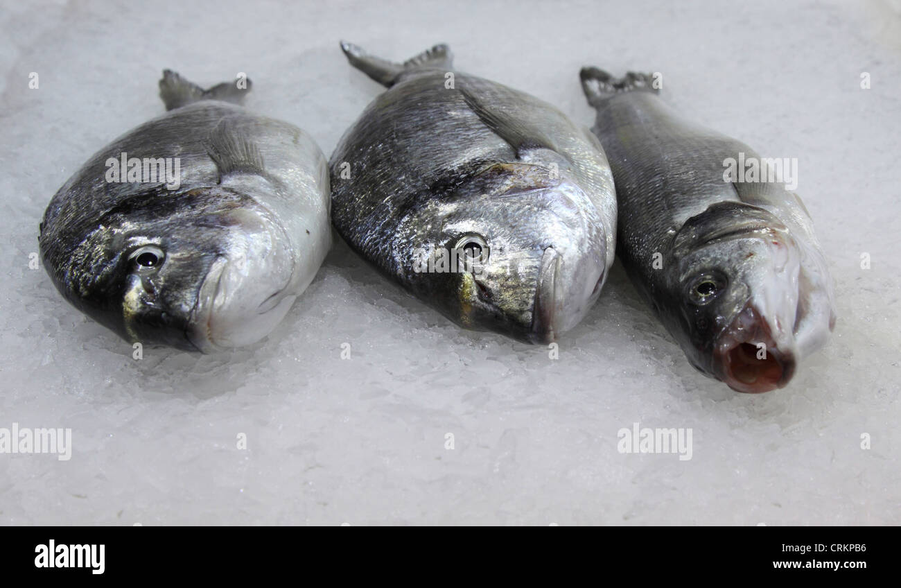 Market fish stand Stock Photo - Alamy