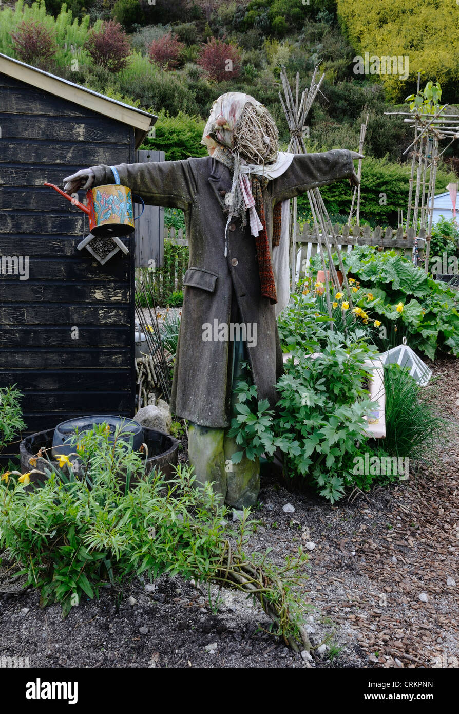 Gardening allotment detail hi-res stock photography and images - Alamy