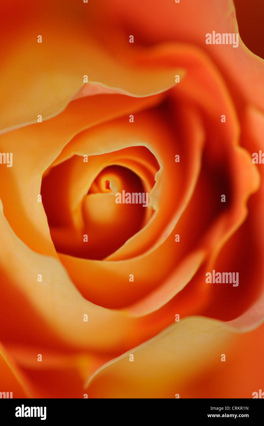 No peace life creative hi-res stock photography and images - Alamy