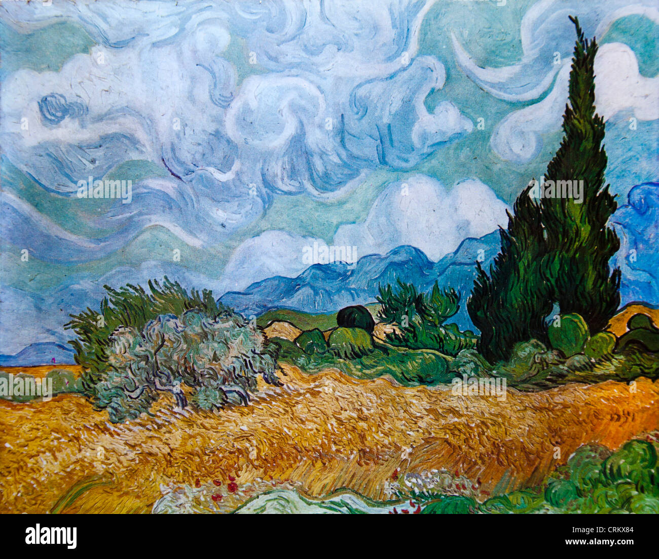 Cornfield and Cypresses - Van Gogh Stock Photo - Alamy
