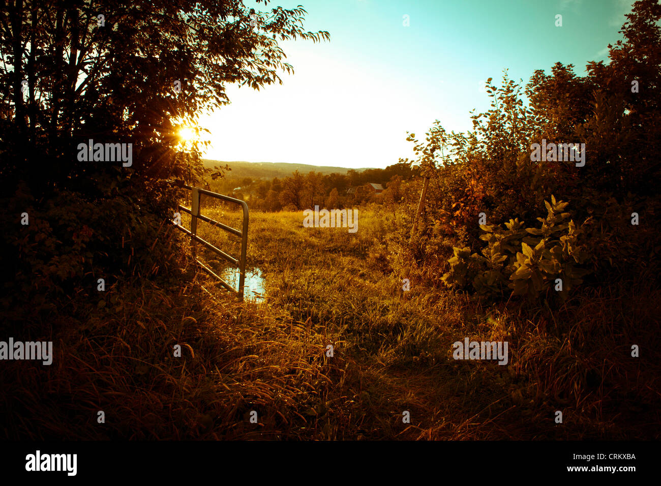 Leafy entrance gates hi-res stock photography and images - Alamy