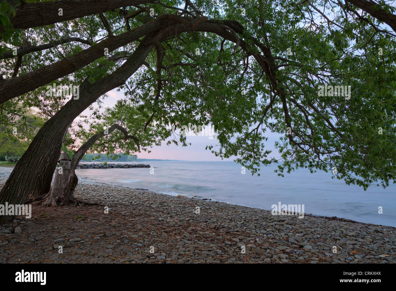 Rock trees and water hi-res stock photography and images - Alamy