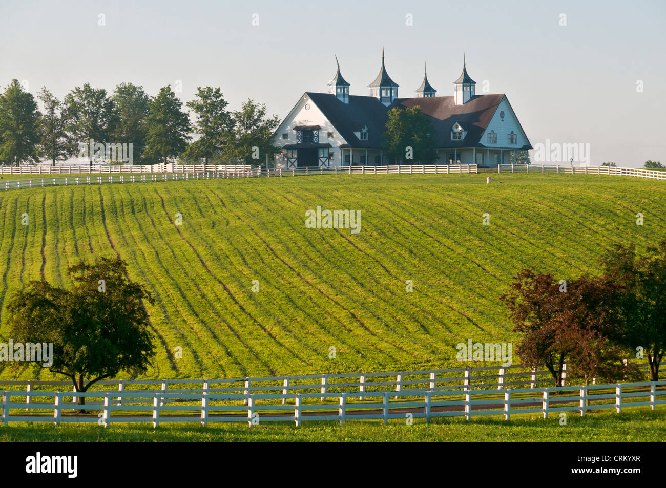 Horse breeding hi-res stock photography and images - Alamy