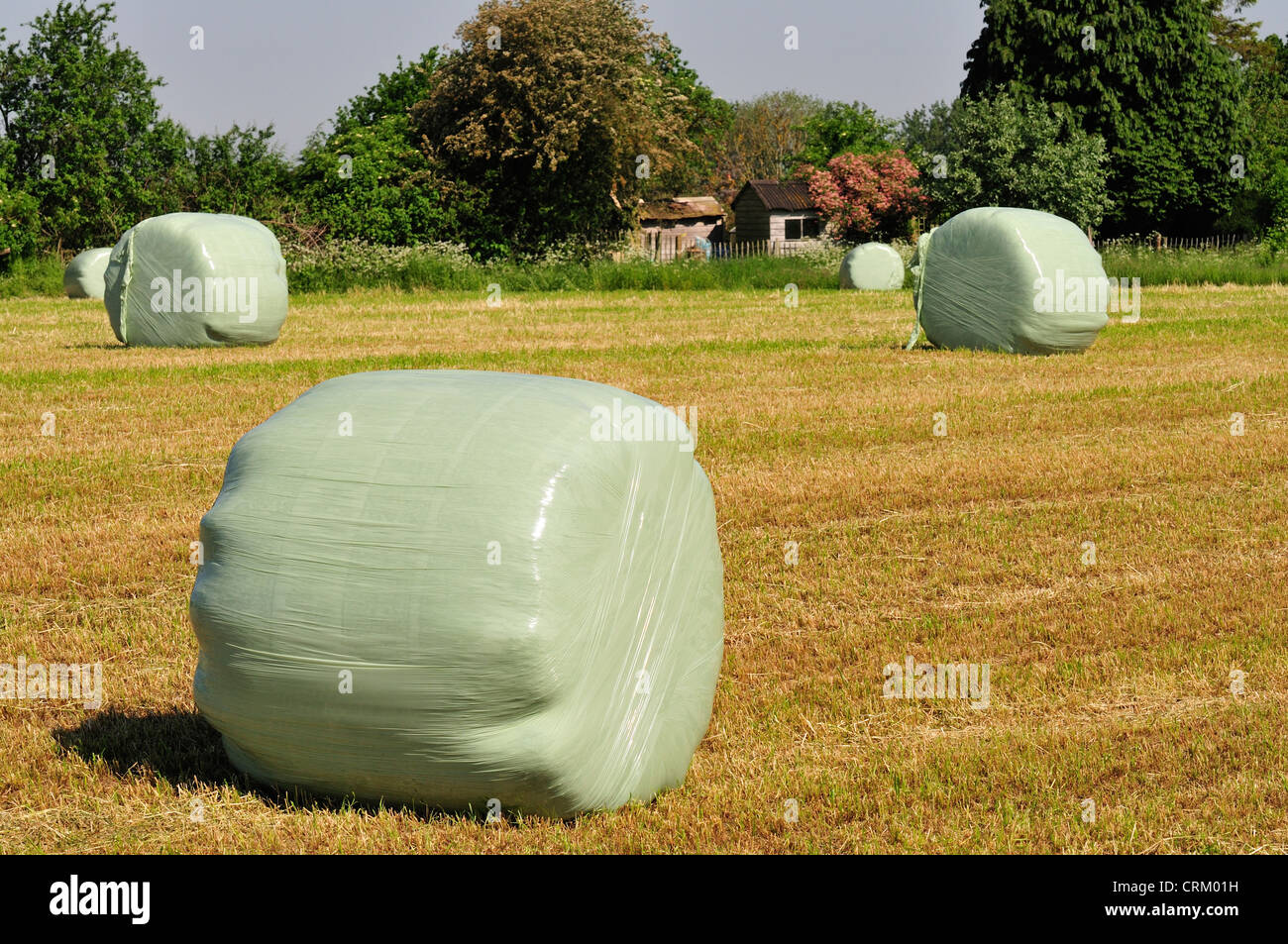 Plastic wrapping in agriculture hi-res stock photography and images - Alamy
