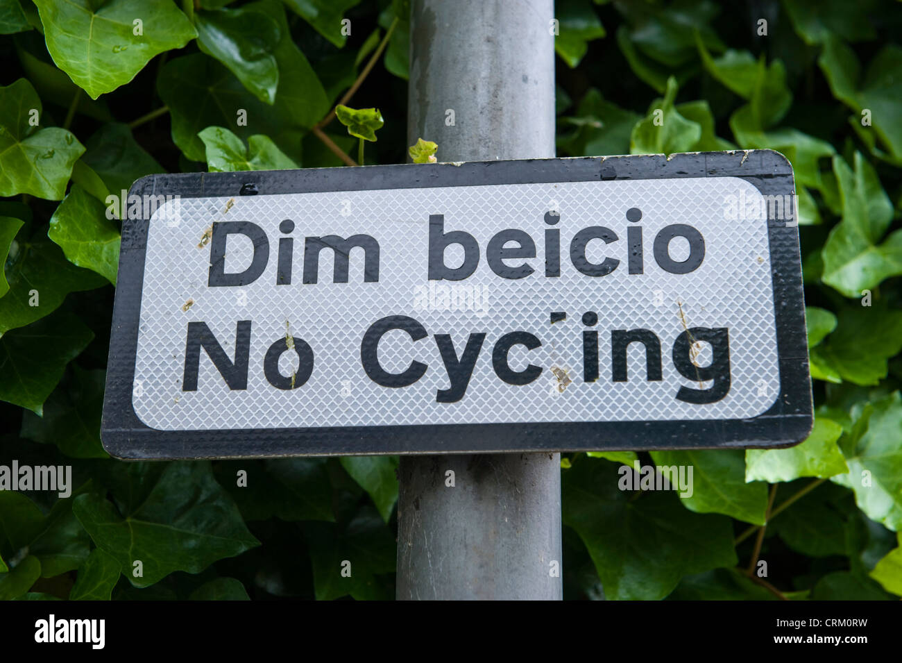 NO CYCLING bilingual Welsh English language street sign in Presteigne ...