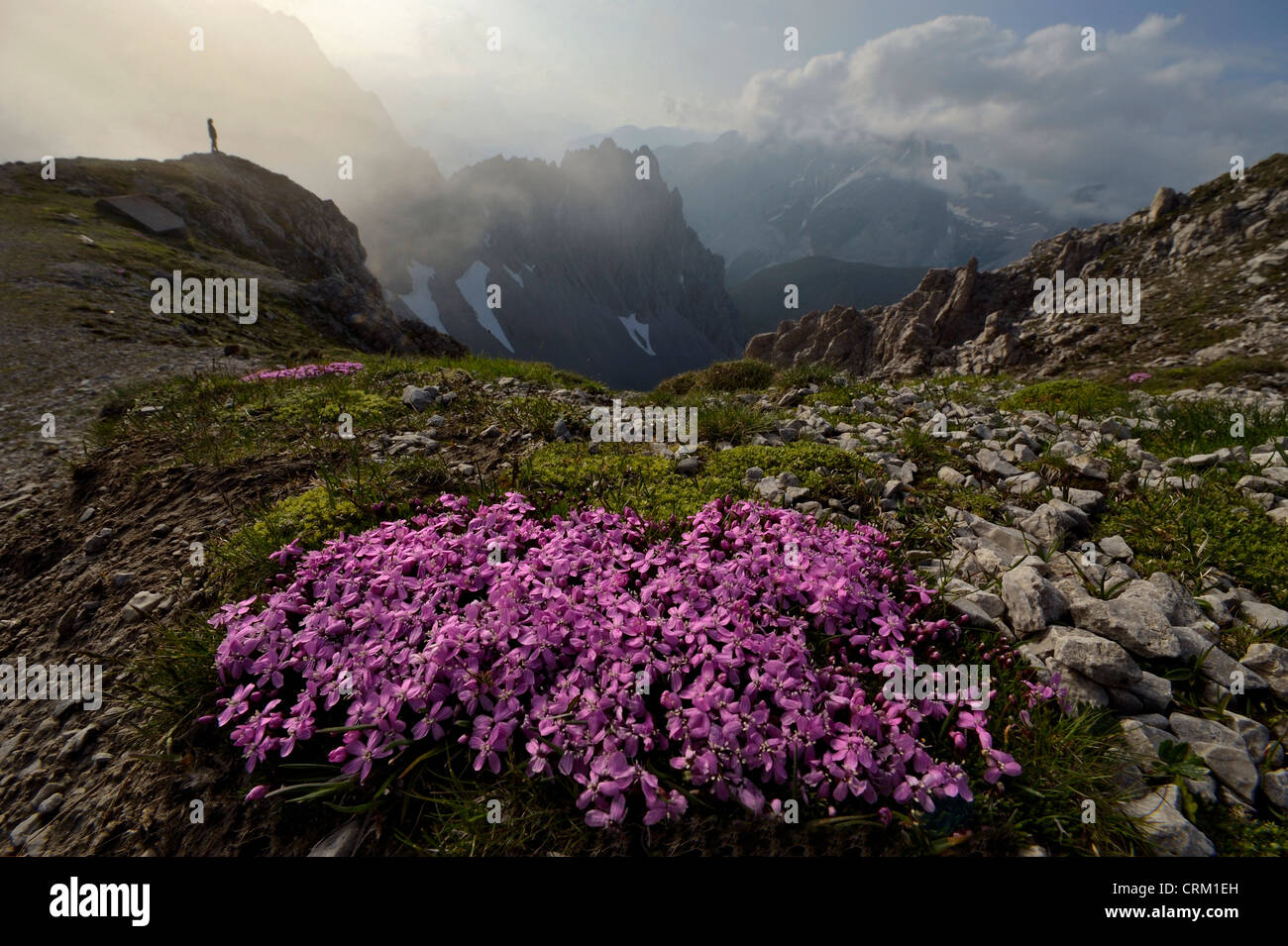 Austrian celebration for the traditional summer solstice festival ...