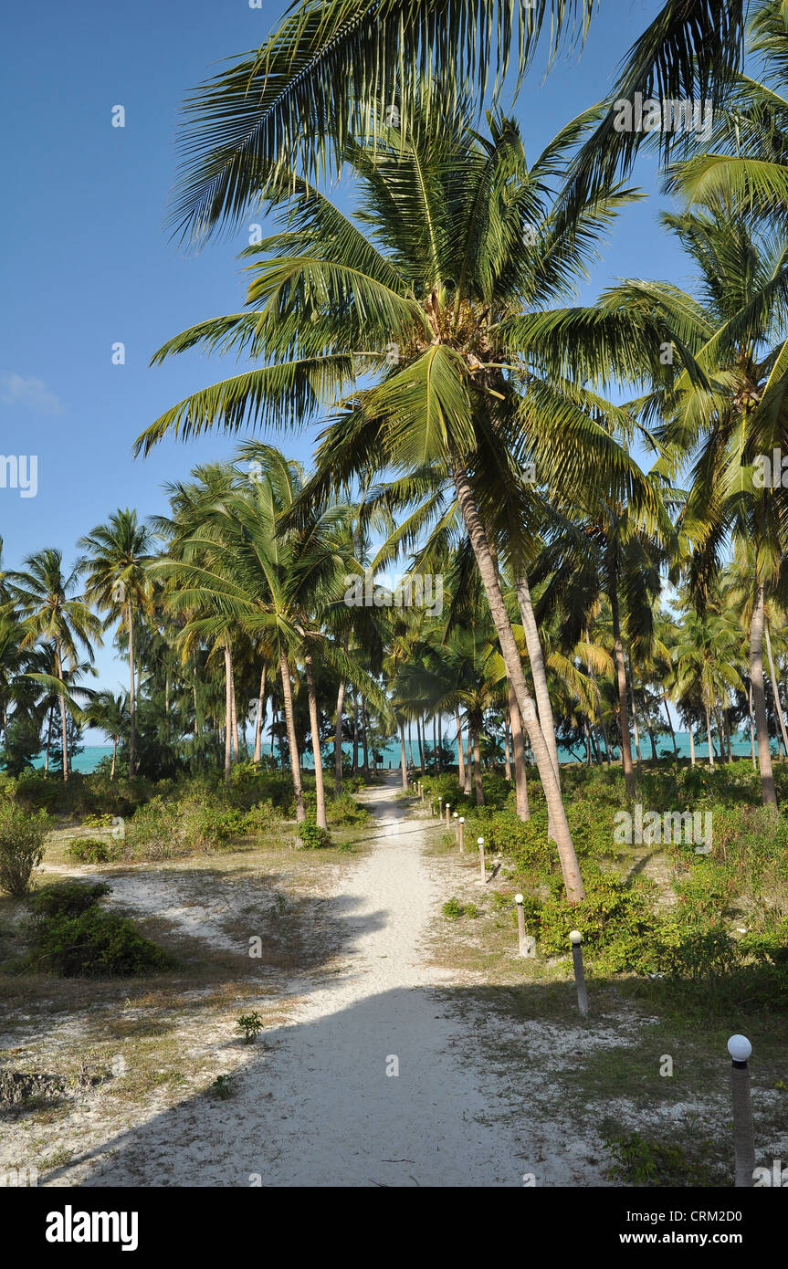Tanzania zanzibar island mangrove hi-res stock photography and images ...