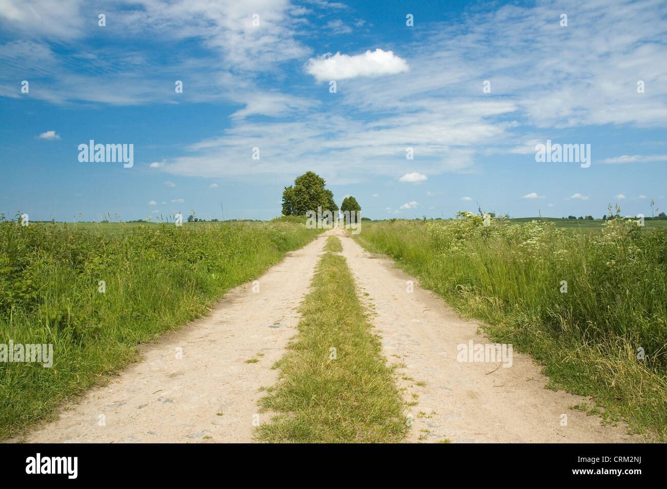 Nobody sandy dirt track road hi-res stock photography and images - Alamy