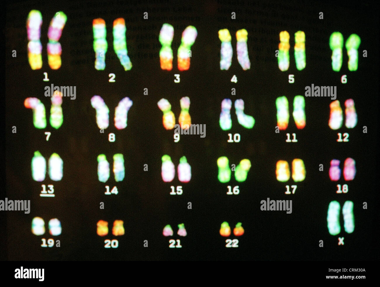 Human chromosomes hi-res stock photography and images - Alamy