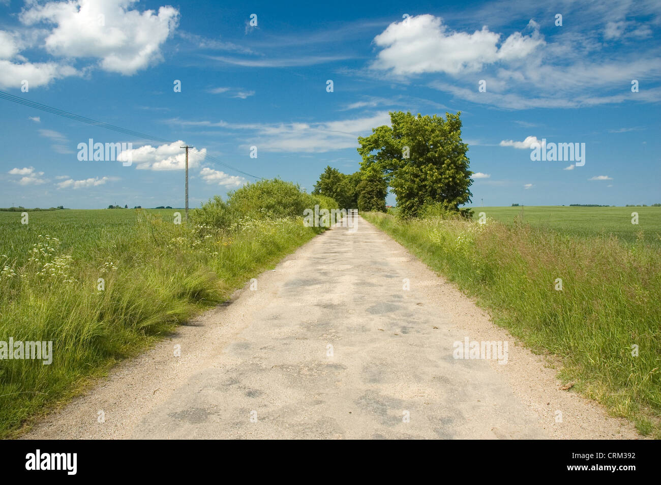 Bumpy trail hi-res stock photography and images - Alamy