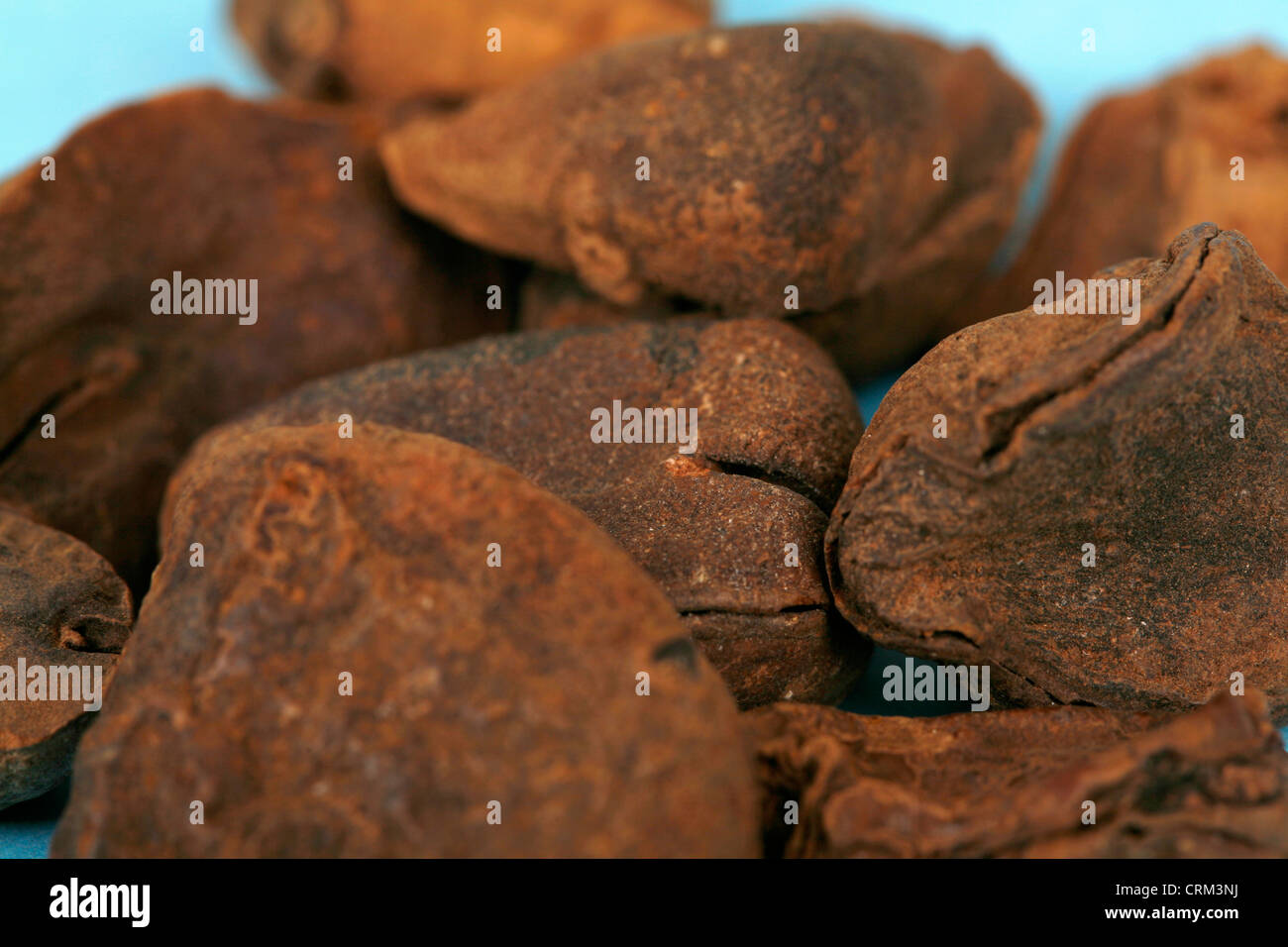 Kola nut hi-res stock photography and images - Alamy