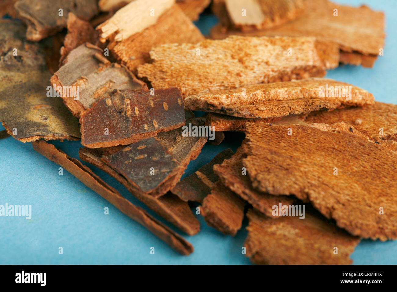 Serot hi-res stock photography and images - Alamy