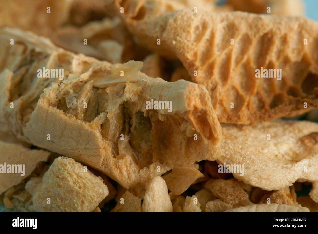 Colocynth bulb or better known as Bitter Apple is a powerful drastic ...