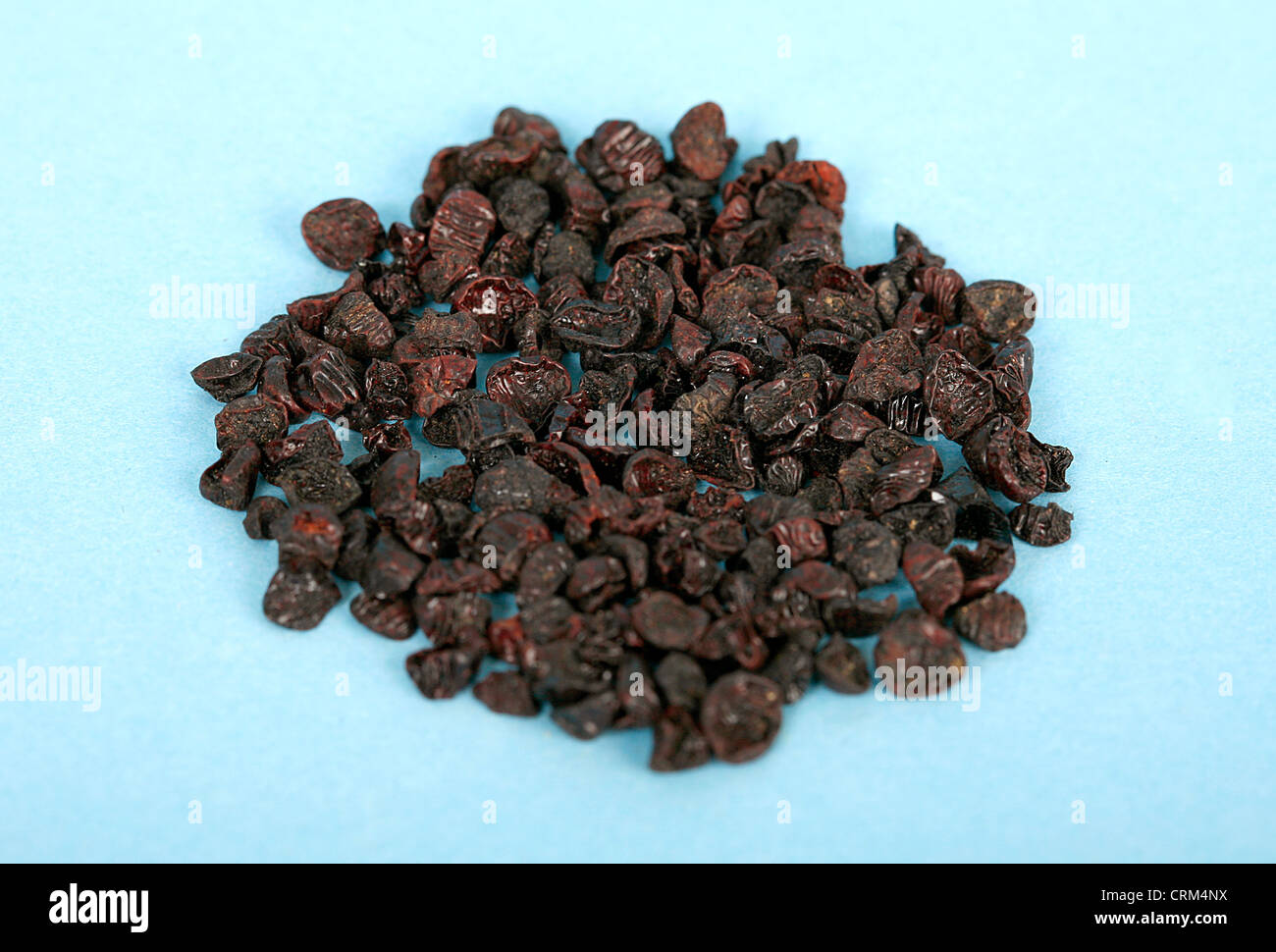 Cochineal Black produces carmine, a bright red dye used in microbiology ...