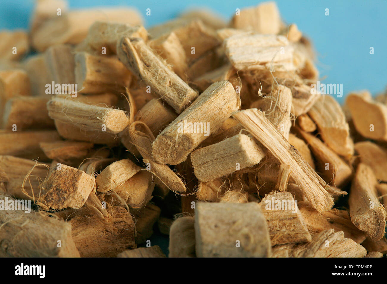 Abscesses boils hi-res stock photography and images - Alamy