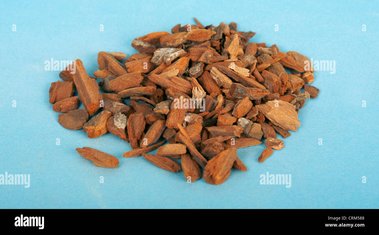 Cinchona Bark Quinine