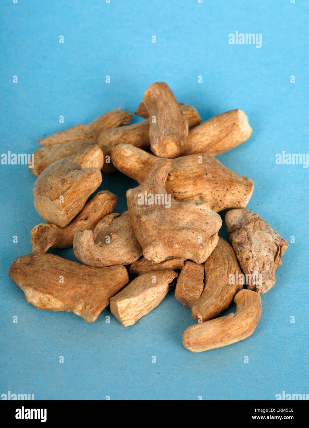 Ginger root is a stimulant and carminative and used frequently for ...