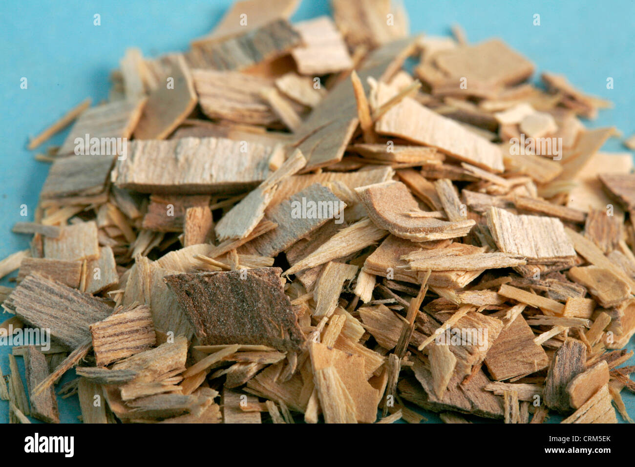 Quillaia wood has a long history of medicinal use with the Andean ...