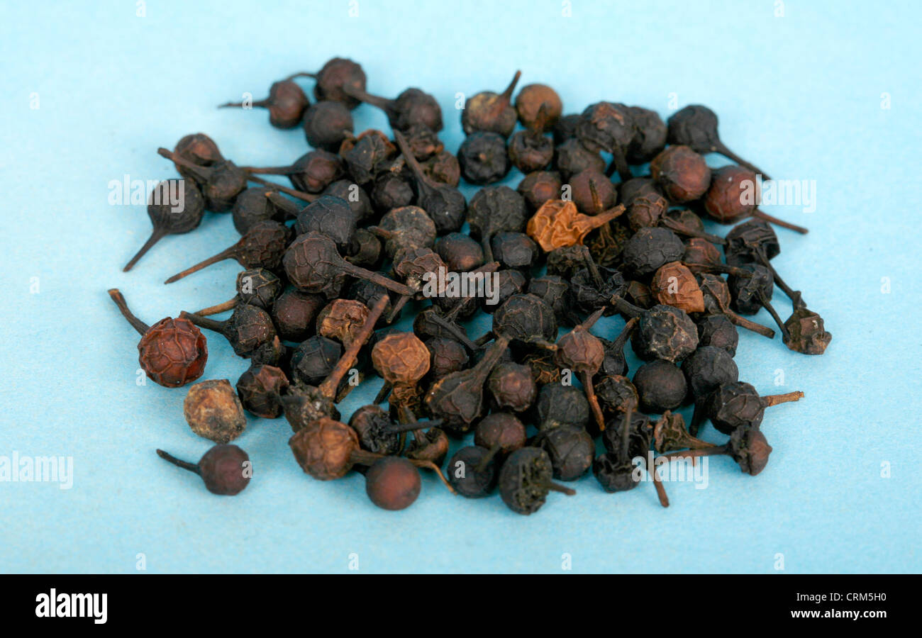 Cubeb was used centuries ago in India as a mouthwash, and for oral and ...