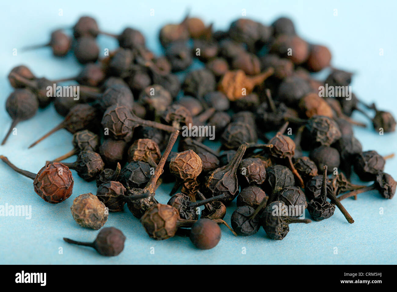 Fevers hi-res stock photography and images - Alamy