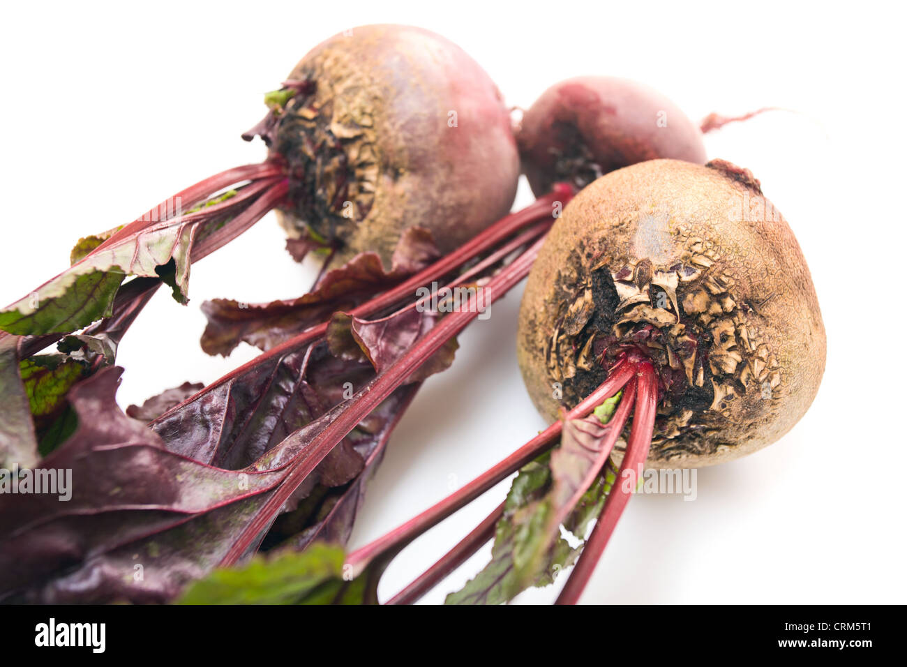 beet with leaves on a white background Stock Photo - Alamy