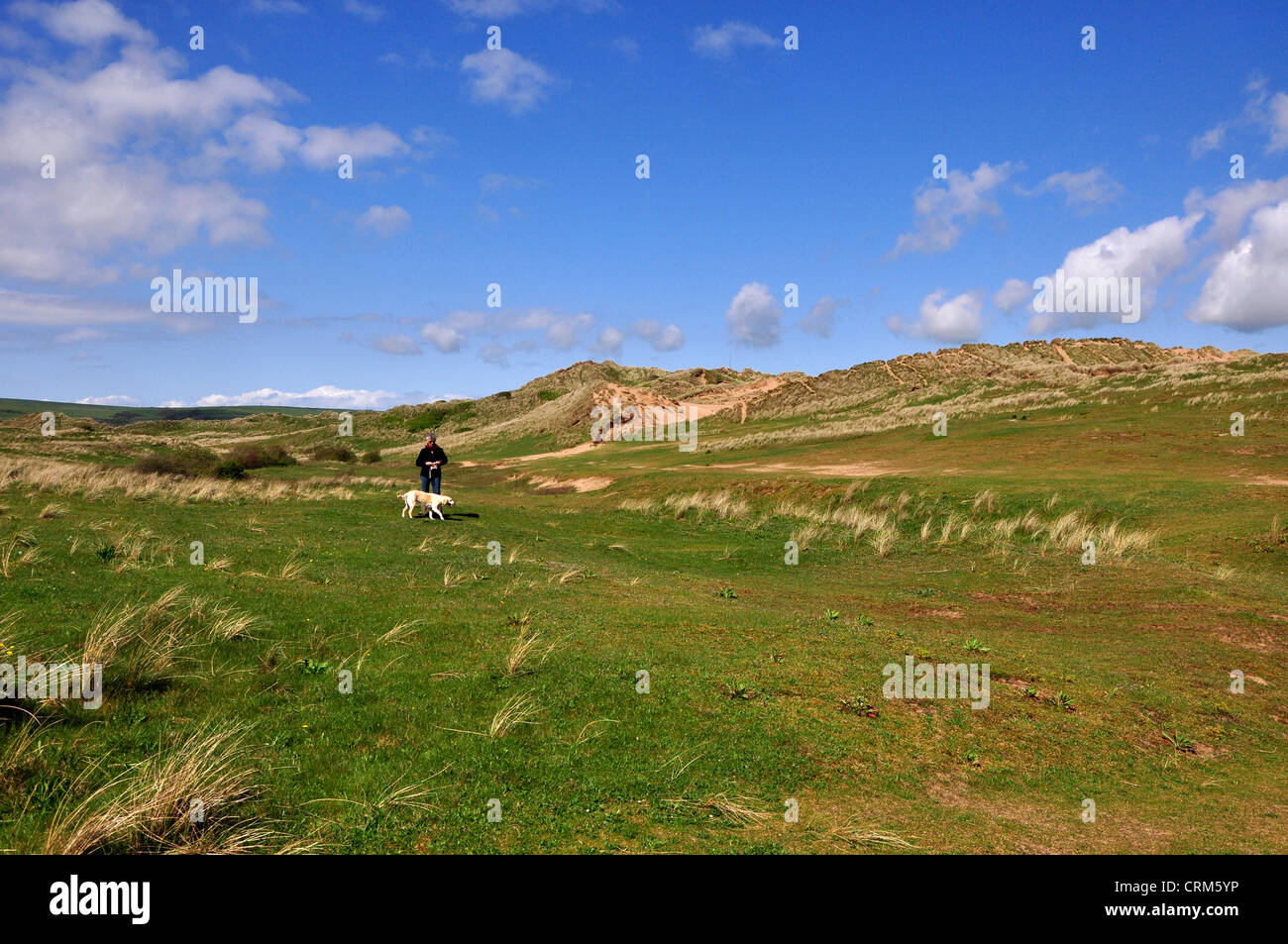 A walker with their dog at Braunton Burrows Devon UK Stock Photo - Alamy