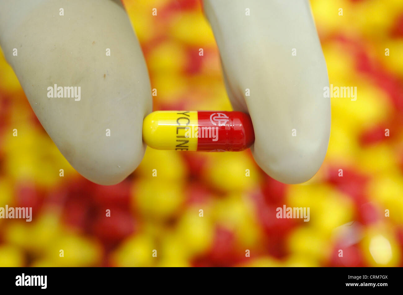 A gloved hand holds a single Amicycline capsules Stock Photo - Alamy