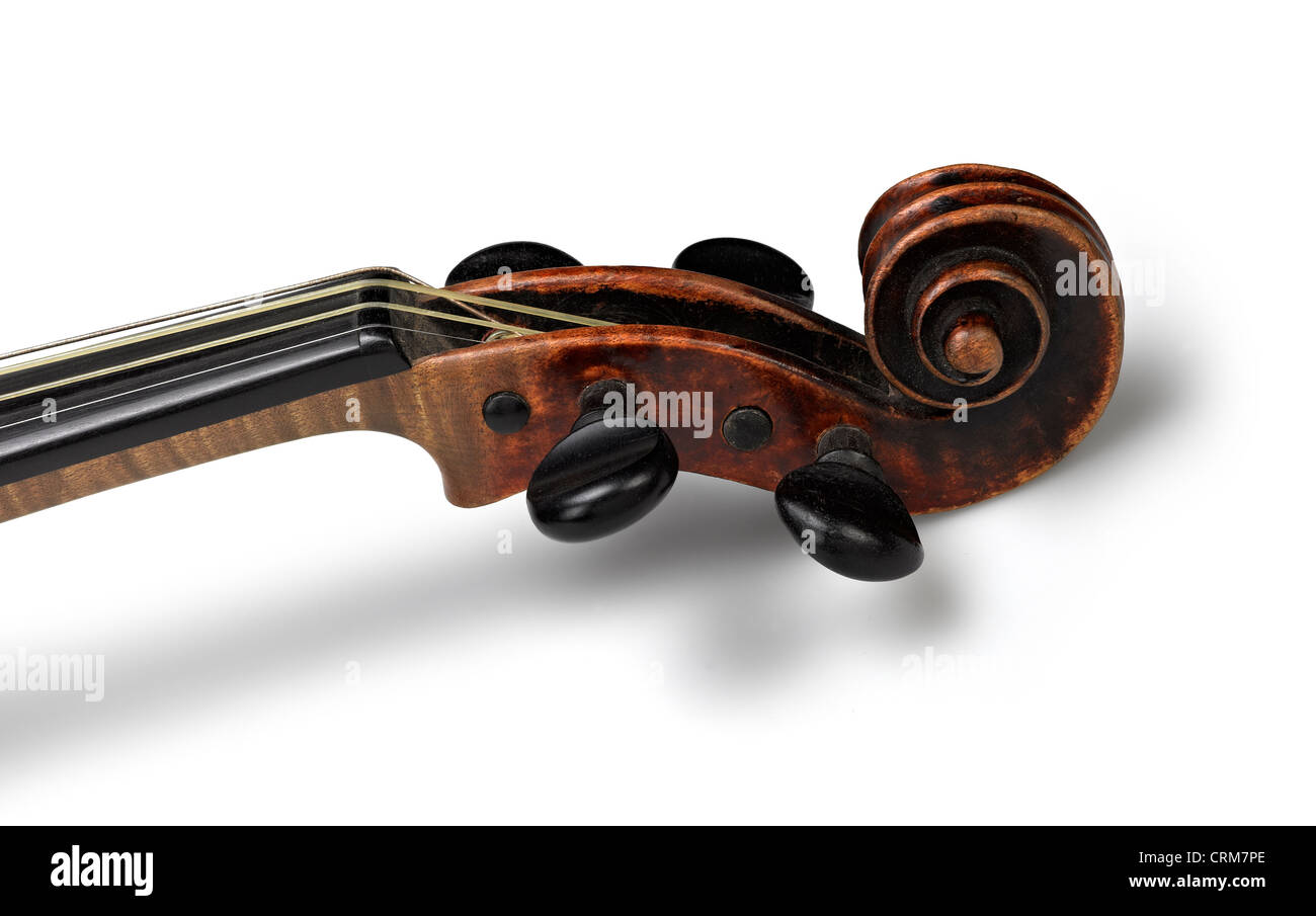 Head of classical violin on white background Stock Photo - Alamy