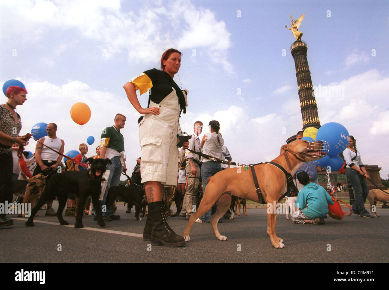 Dog Parade High Resolution Stock Photography and Images - Alamy